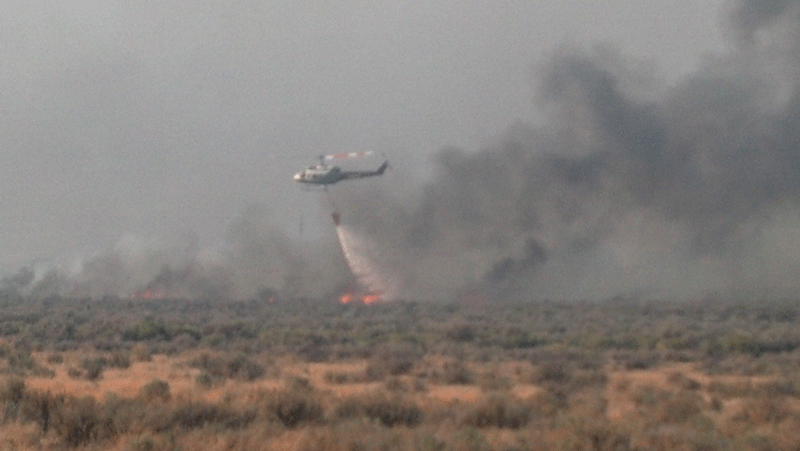 Wildfire Gallery: Cut-Off Fire Photos from Tuesday Night ...