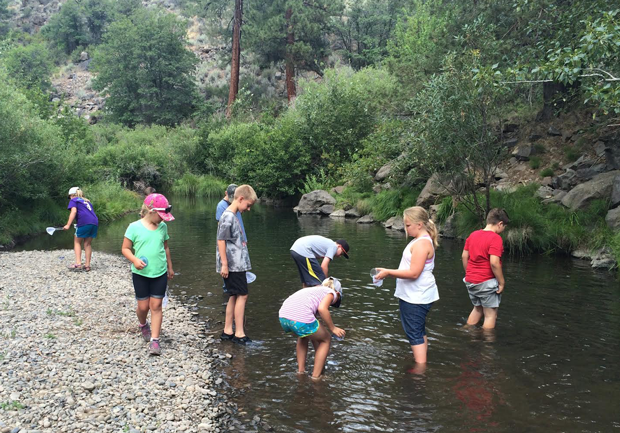 Summer Fun Abounds At Lassen Land and Trails Trust Nature Camp ...