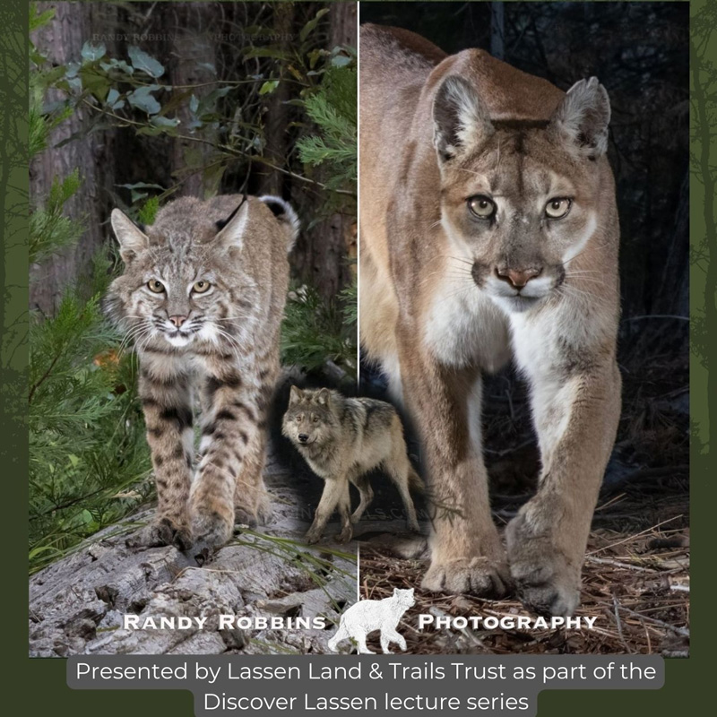 LL&TT Presents Evening Lecture with Legendary Photographer Randy ...