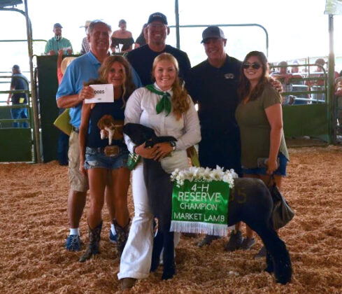 Jr. Livestock Auction: Thank You from Katelyn Kirack | SusanvilleStuff.com