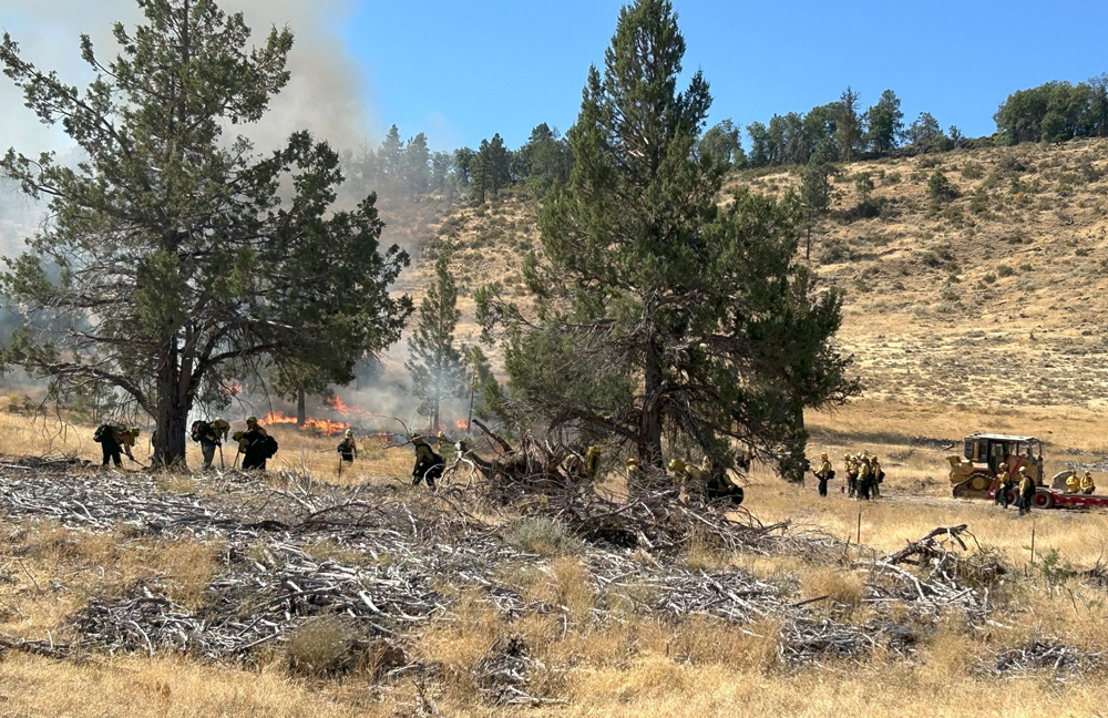 Cal-FIRE LMU Completes Prescribed Burn with the Aid of Drone Technology ...