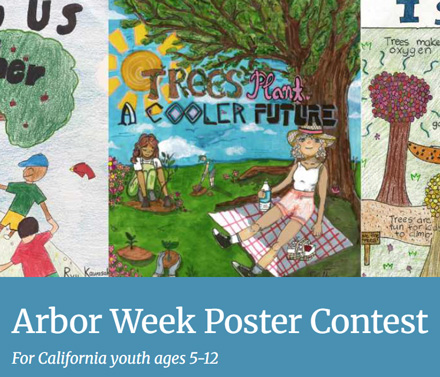 Calling All Young Artists! 2026 Arbor Week Poster Contest Now Open ...